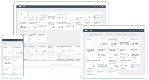 SAP Expertise - PracticeVantage Consulting